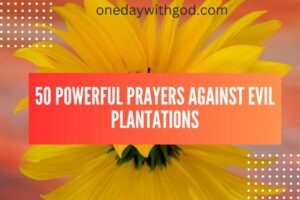 50 Powerful Prayers Against Evil Plantations - One Day With God